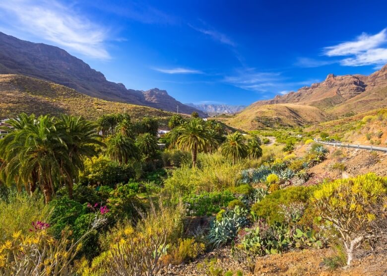 Kanaren-Inseln: 7 Inseln für jeden Geschmack | Reiswelt